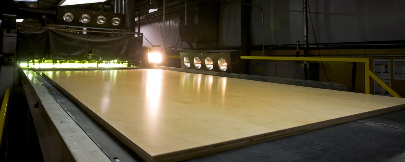 EuroPLY Vietnam | Birch Plywood, UV Coated Birch Plywood, MR & WBP Glue ...